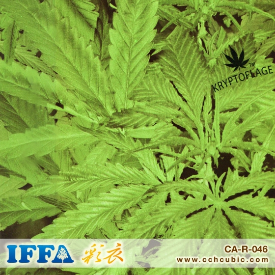 IFFA彩衣 - CA-R-046